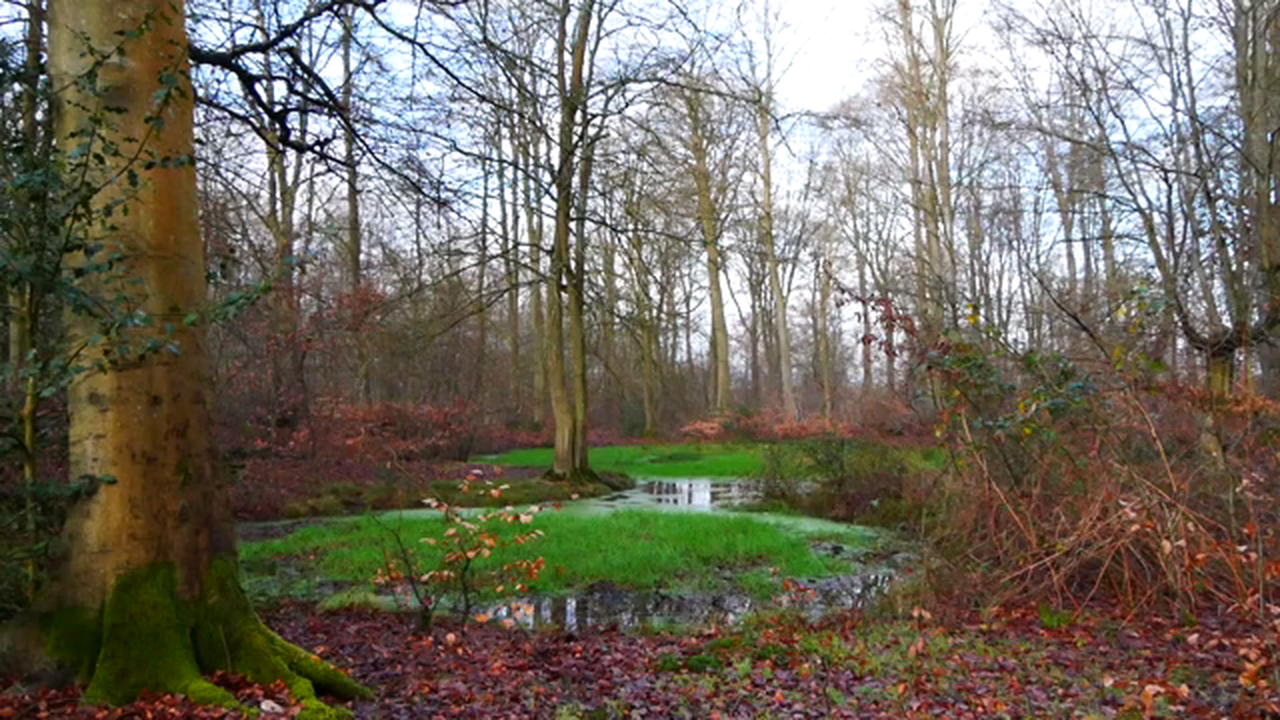 PodEduc - Le Mur De Bois - Léa.Mp4