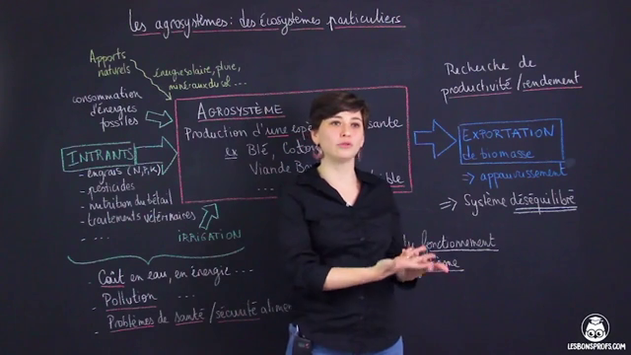 PodEduc - Les AgrosystèMes - Svt - Les Bons Profs.Mp4