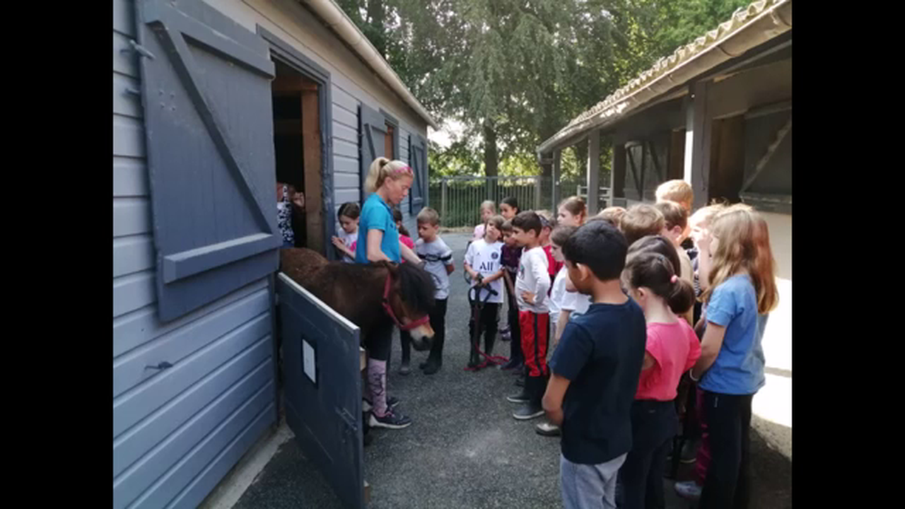 PodEduc - Première Séance Poney.Mp4