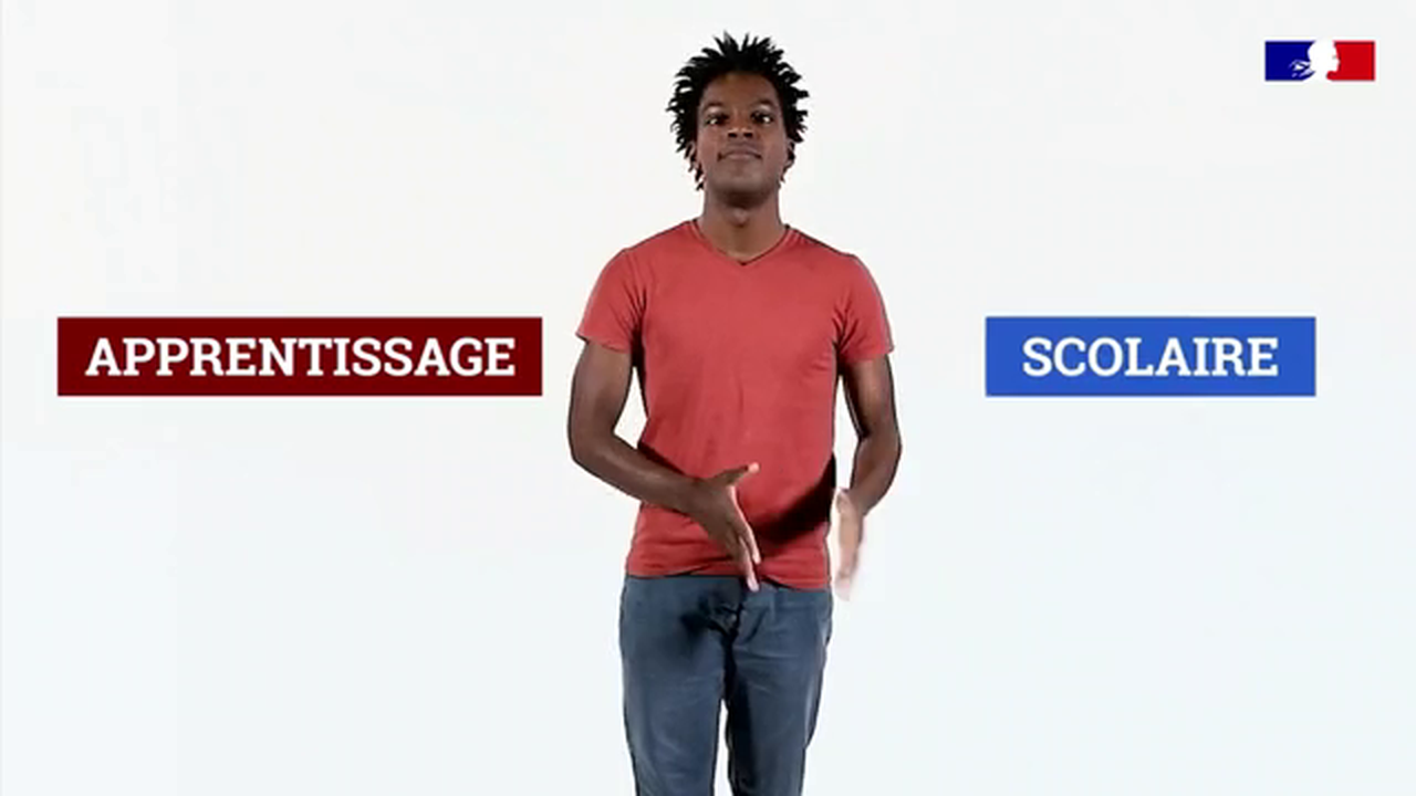 PodEduc - Statut Scolaire Ou D'Apprenti: Que Choisir A…