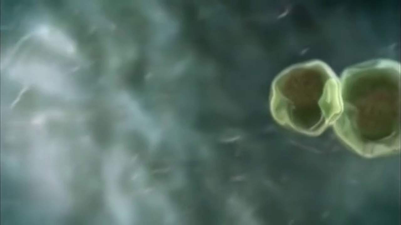 PodEduc - L'Odyssée De La Vie.Mp4