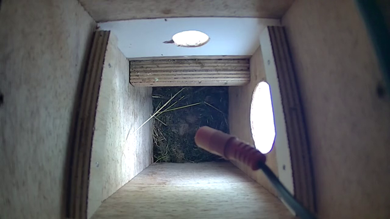 PodEduc - Timelapse_Installation_2024.Mp4