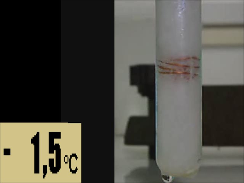 PodEduc - Second Degré - Physique-Chimie - [5eme] [Chimie] Fusion De L'Eau