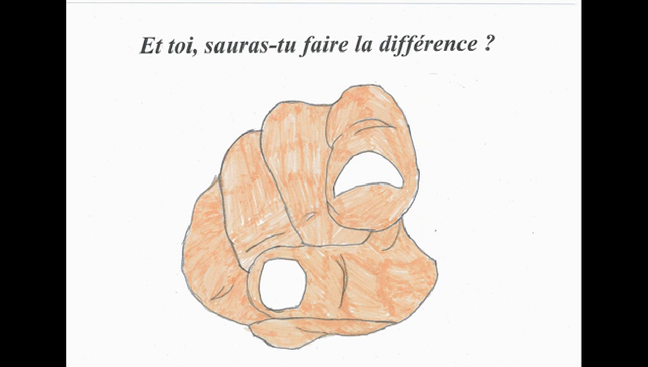 PodEduc - Nah_Ce2_La_Cle_Des_Champs.Wmv