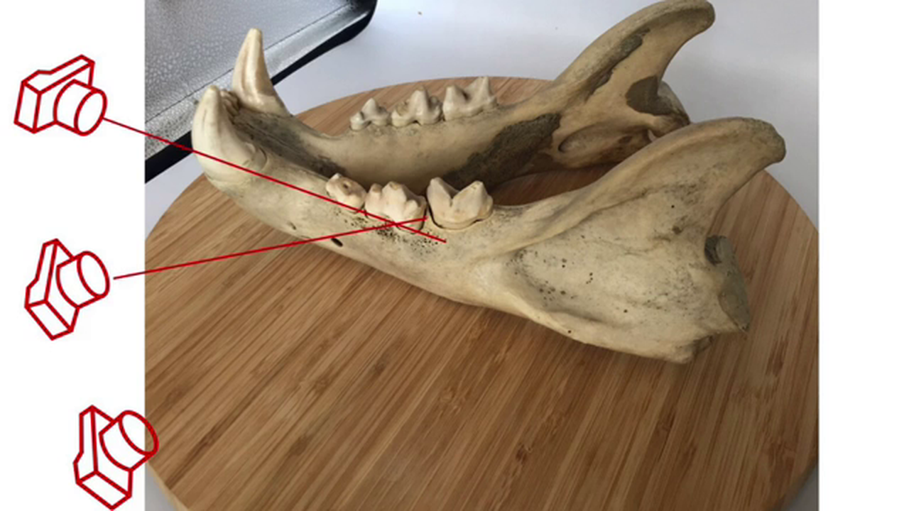 PodEduc - Prises De Photos Pour Photogrammetrie.Mov