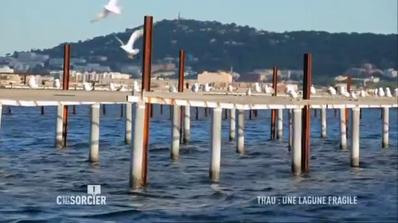 PodEduc - Thau 3.Mp4