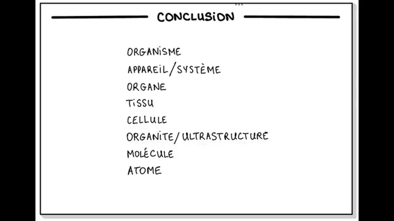 PodEduc - Les Niveaux D'Organisation