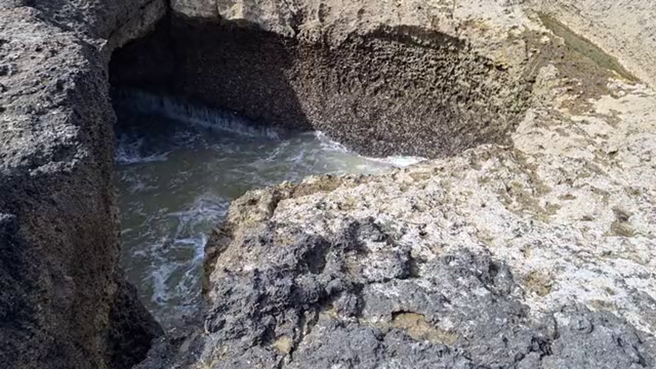 PodEduc - 20240330_141303[1].Mp4