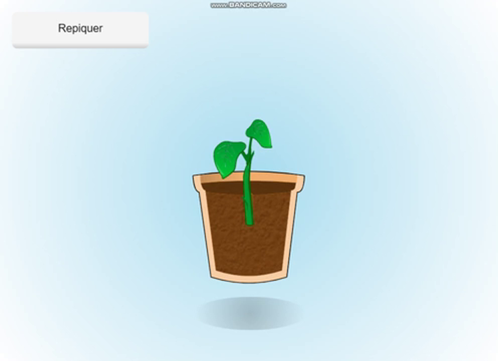 PodEduc - Technique Du Bouturage.Mp4