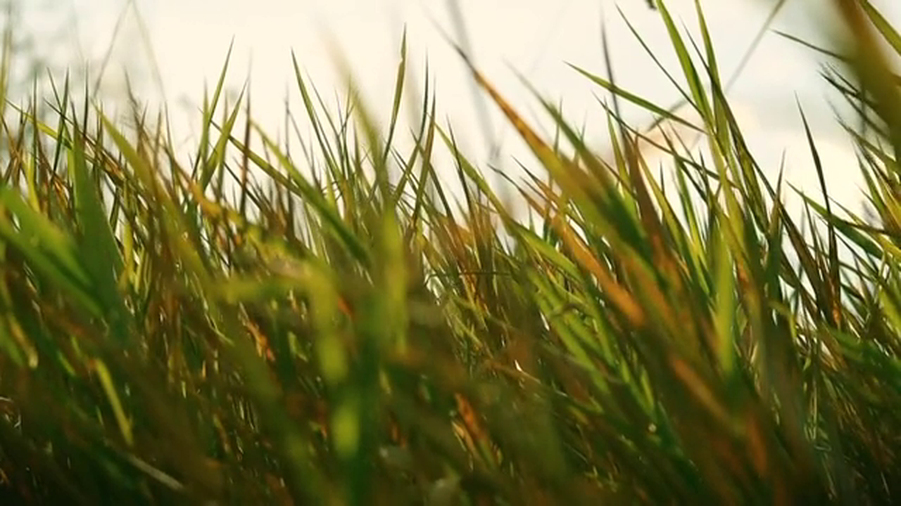 PodEduc - 188912 (540p).Mp4