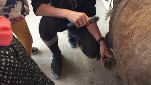 PodEduc - Img_3229.Mov