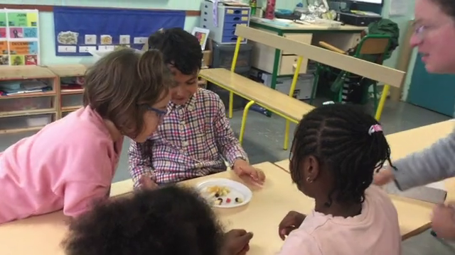 PodEduc - Tasting C2-Bilan.Mp4