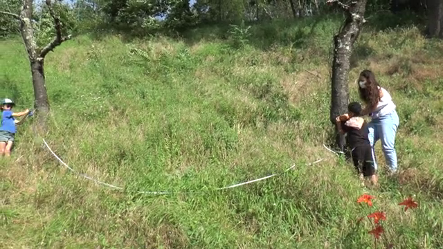 PodEduc - Ce1 Posture D'Accompagnement