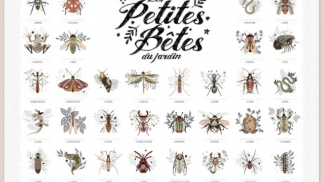 PodEduc - Les Petites Bêtes.Mp4