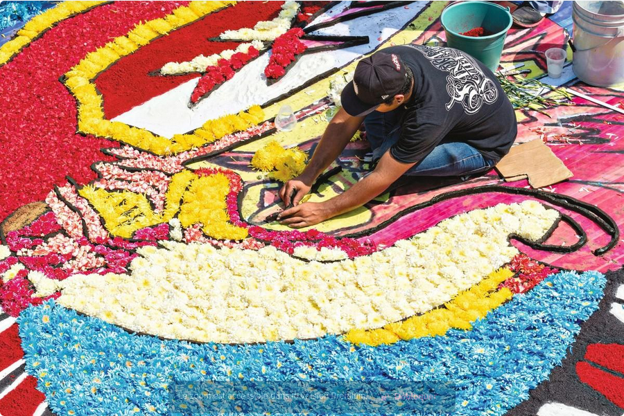 PodEduc - Alfombristas Mexicanos