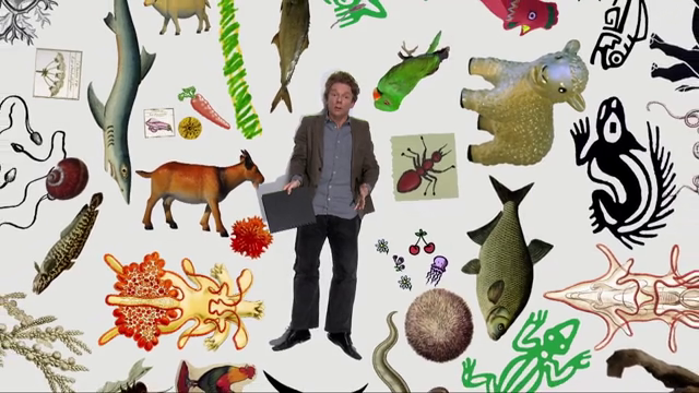 PodEduc - Intro_Classif_Espèces D'Espèces.Mp4