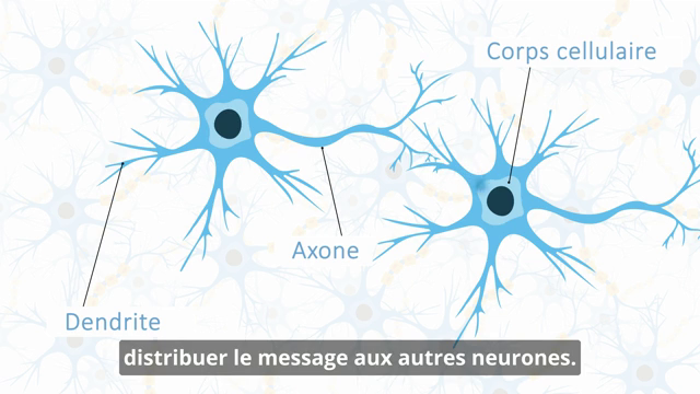 PodEduc - (Sub) Sciences Cognitives - Les Neurones.Mp4