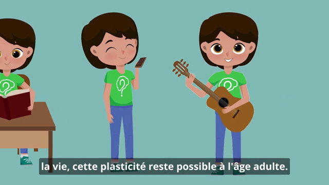 PodEduc - (Sub) Sciences Cognitives - La Plasticité Cé…