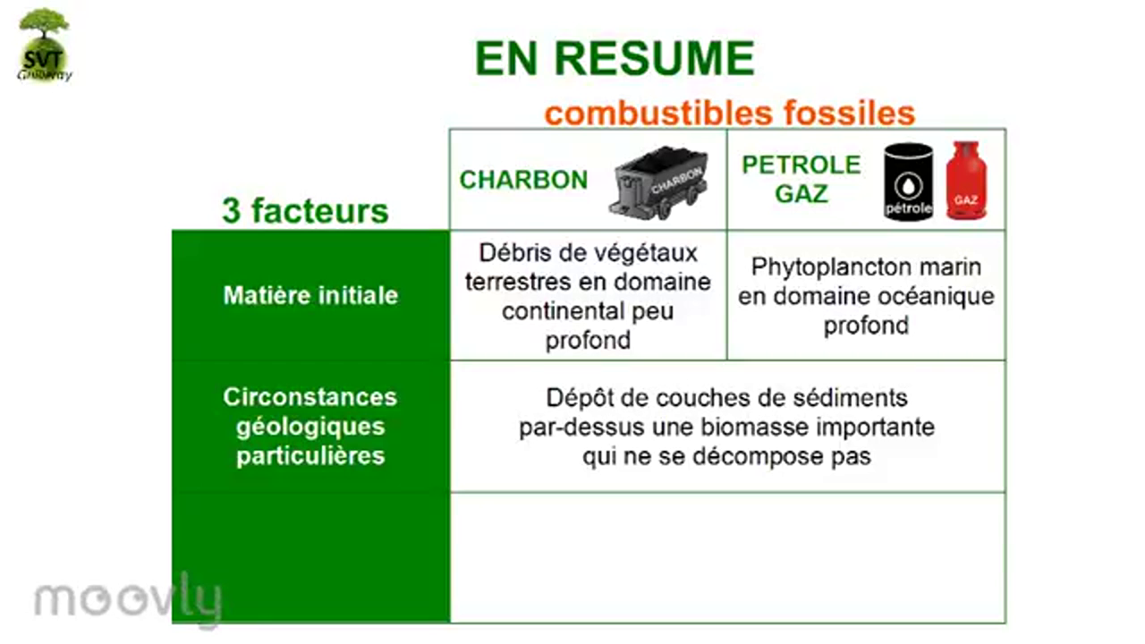 PodEduc - 4e_Ch3_Act2 - Origine Des Combustibles Fossi…