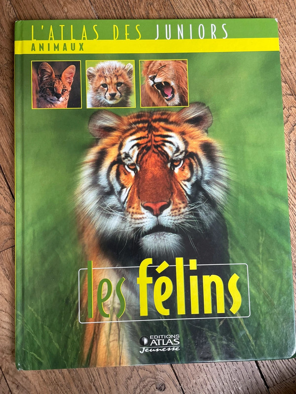 PodEduc - Noa B.G. Alexis C. - Atlas Junior Félins.Mp3