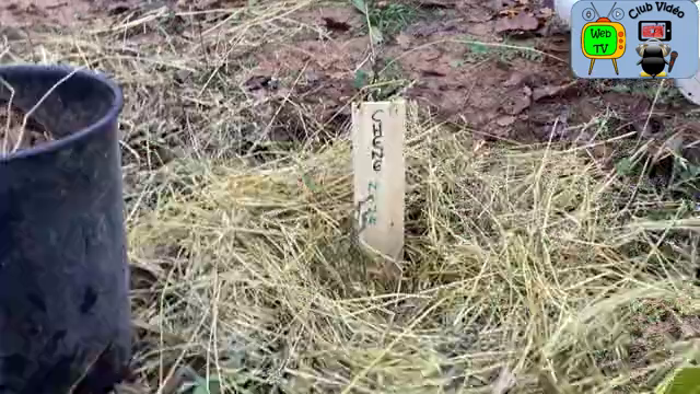 PodEduc - Reportage Eco-Délégués2024v2.Mp4