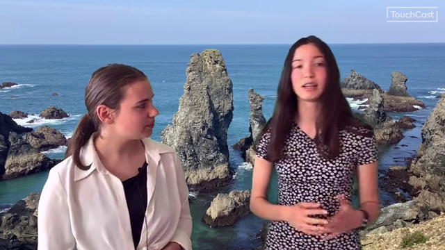 PodEduc - Vidéo Belle Ile Reportage