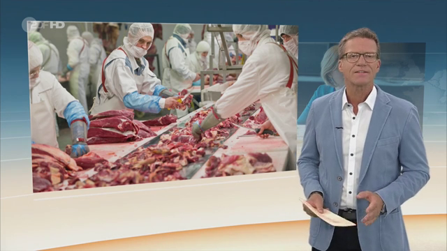 PodEduc - Billigfleisch.Mp4