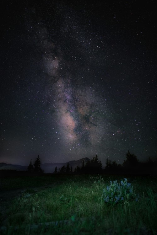 PodEduc - La Nuit Étoilée