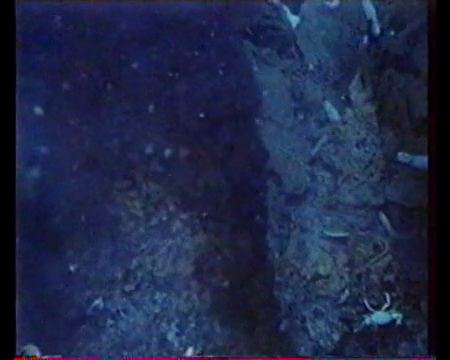 PodEduc - Th1-Chap1-Activite 1-Fumeurs Noirs La Vie Da…