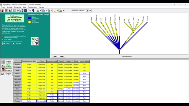 PodEduc - Tuto_Phylogène.Mp4