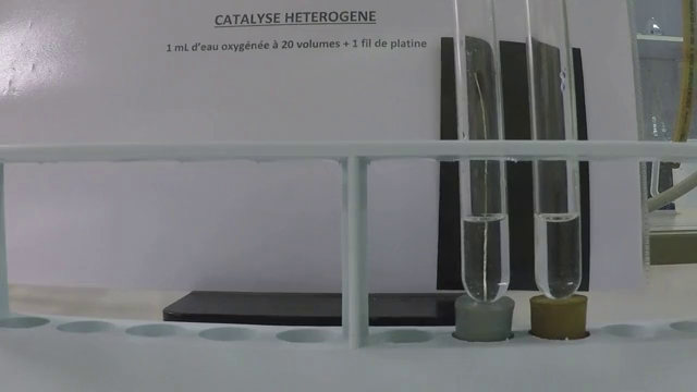 PodEduc - Catalyse Heterogene