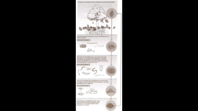 PodEduc - Sol - Capsule N°5.Mp4