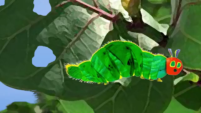 PodEduc - Il Bruco Molto Affamato - The Very Hungry Ca…