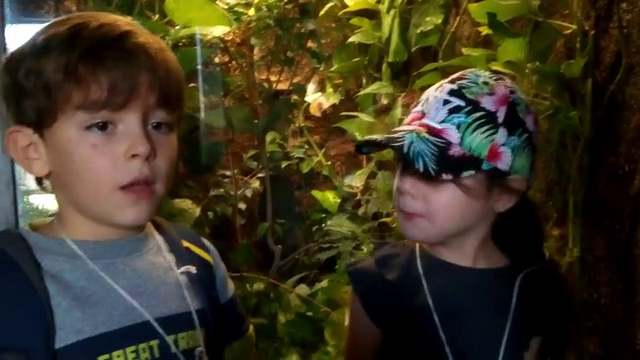 PodEduc - Groupe De Mme Gicquel Et M. Gicquel ‐ Réalis…