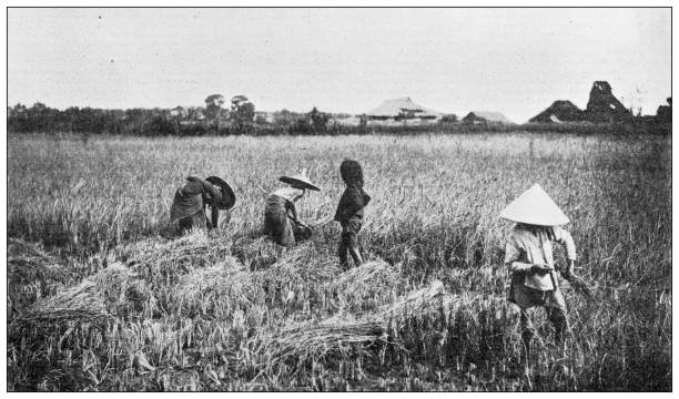 PodEduc - Lorenzo-Guerre Indochine Léon Agp.M4a