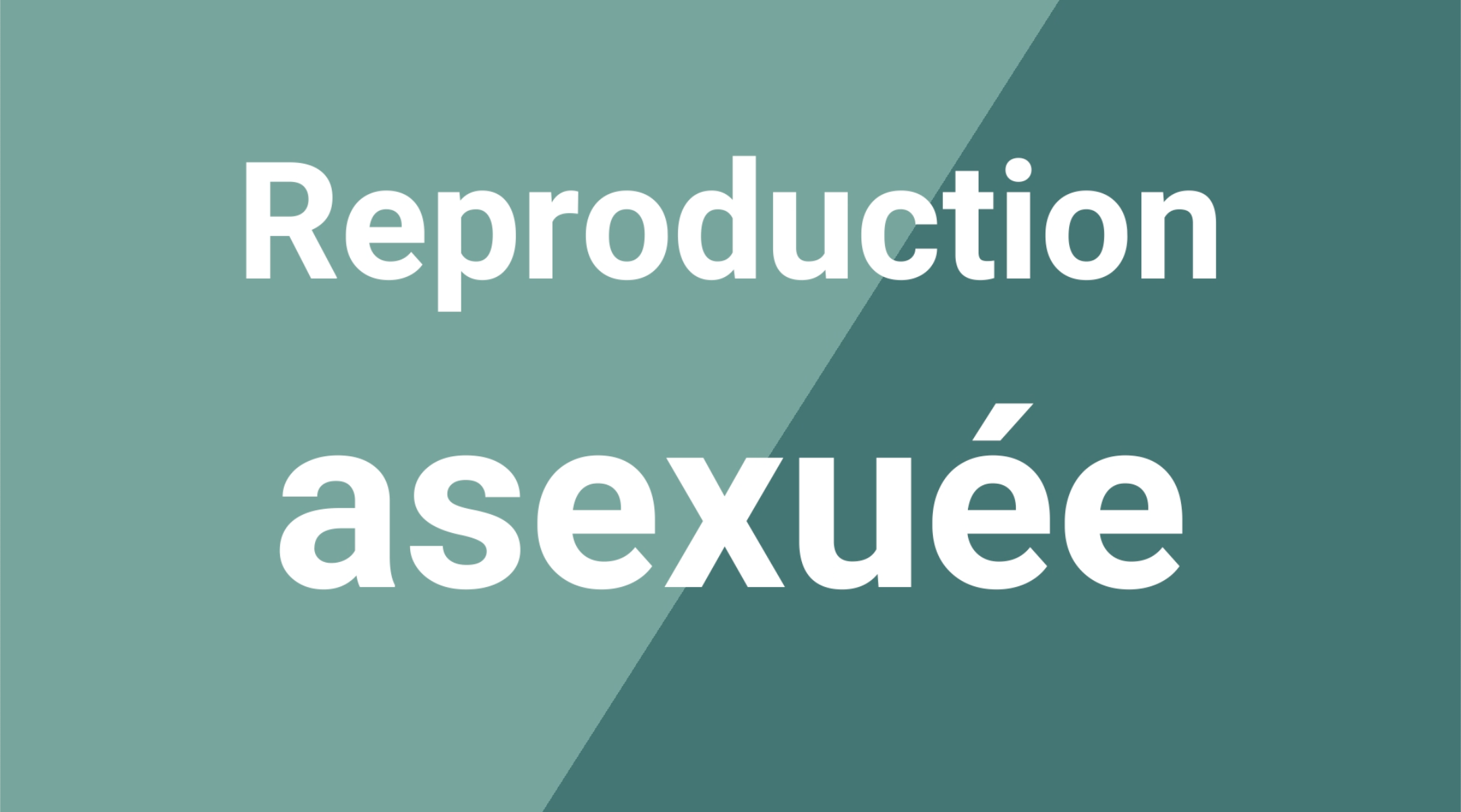 PodEduc - La Reproduction AsexuéE