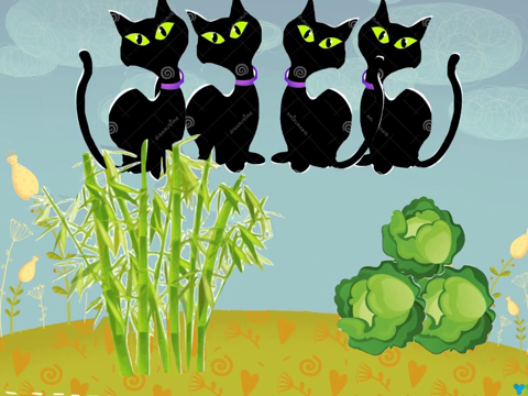 PodEduc - 4 Chats 2et2 Mp4.Mp4