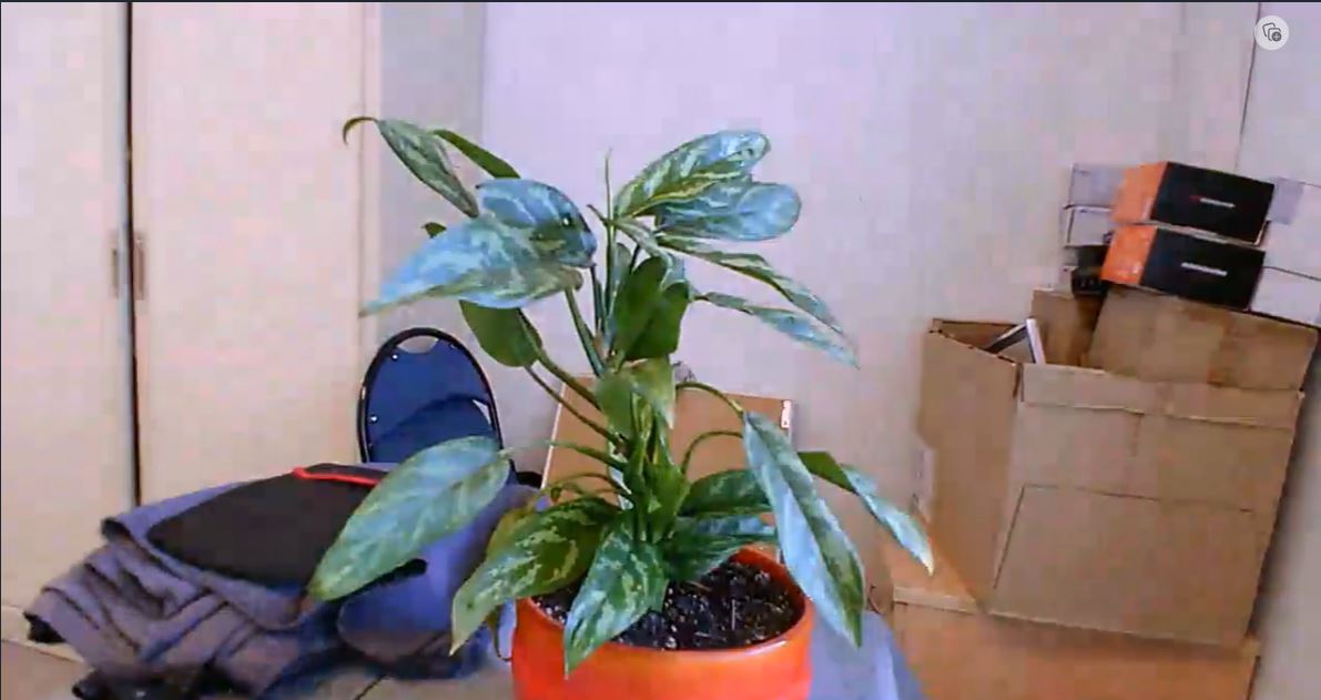 PodEduc - Expérimentation Visualiseur En Timelaps