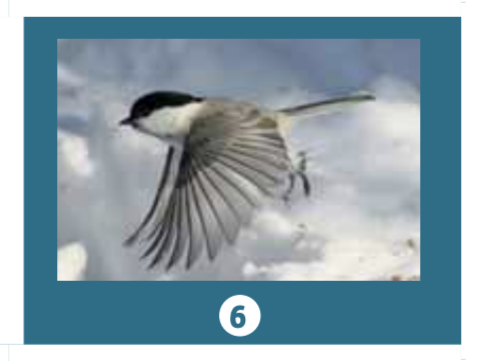 PodEduc - Mnhn-So-2021-1987.Mp3