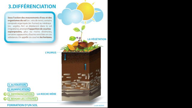 PodEduc - Formation D'Un Sol
