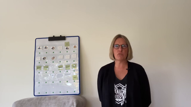 PodEduc - Gwenola Martin Mur Sonore.Mp4