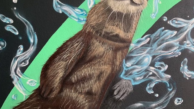 PodEduc - Street Art Au Collège.Mp4